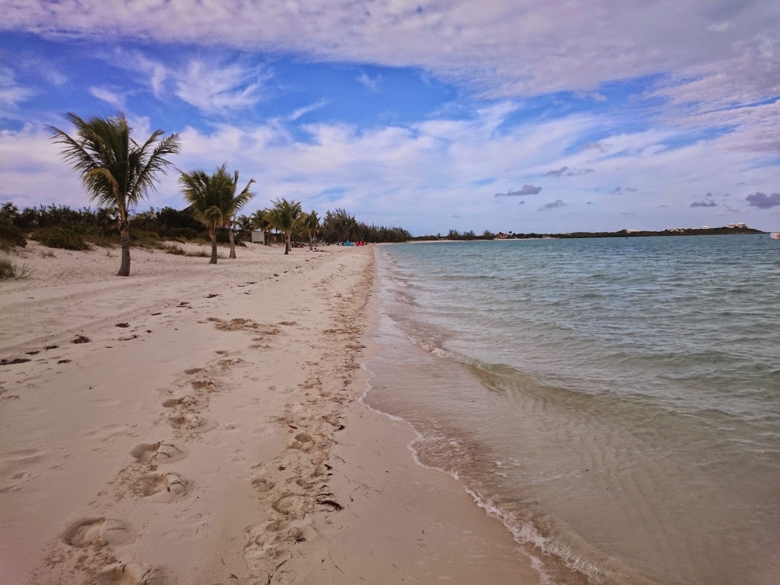 Finding Fossils...: Turks and Caicos Dive Days