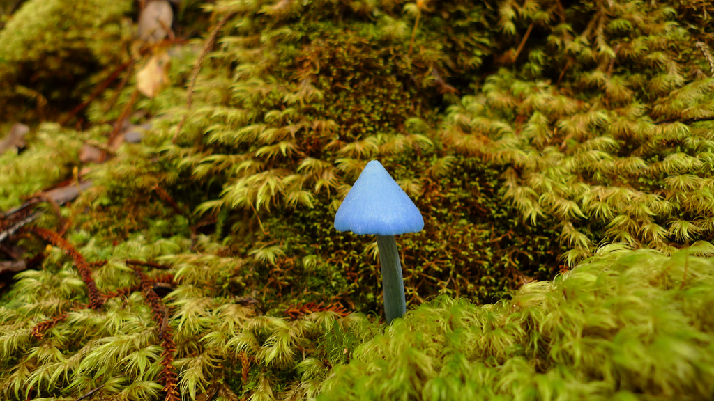 Real Monstrosities: The Blues