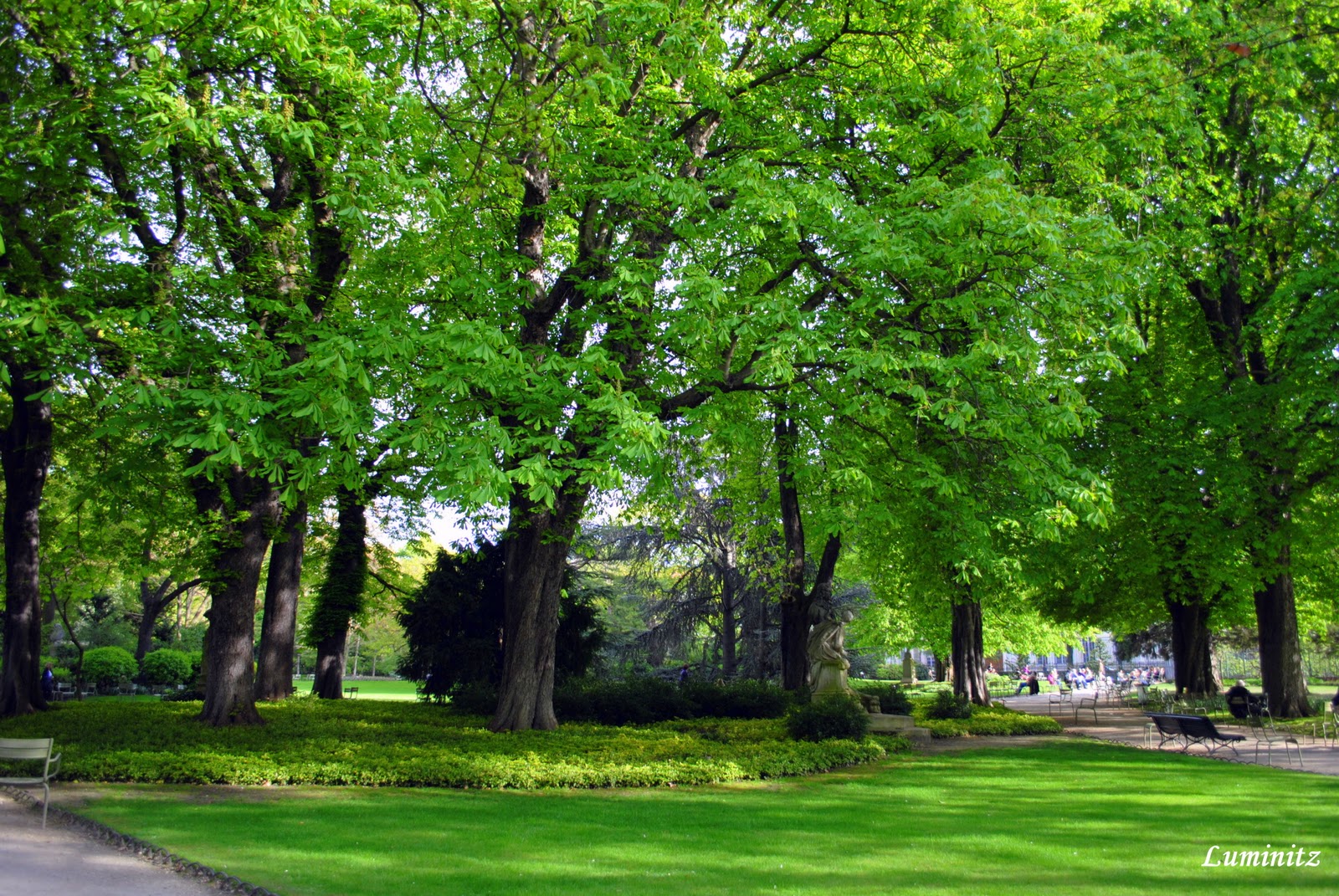 Luminitz Photos: Verde de Paris