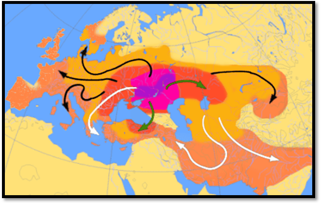 Storia: Celti: storia e cultura