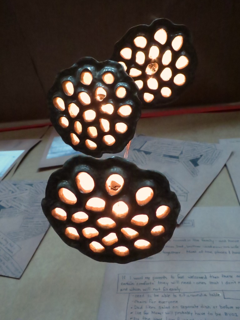 Rowan Kunz: Seed Pod Lamps