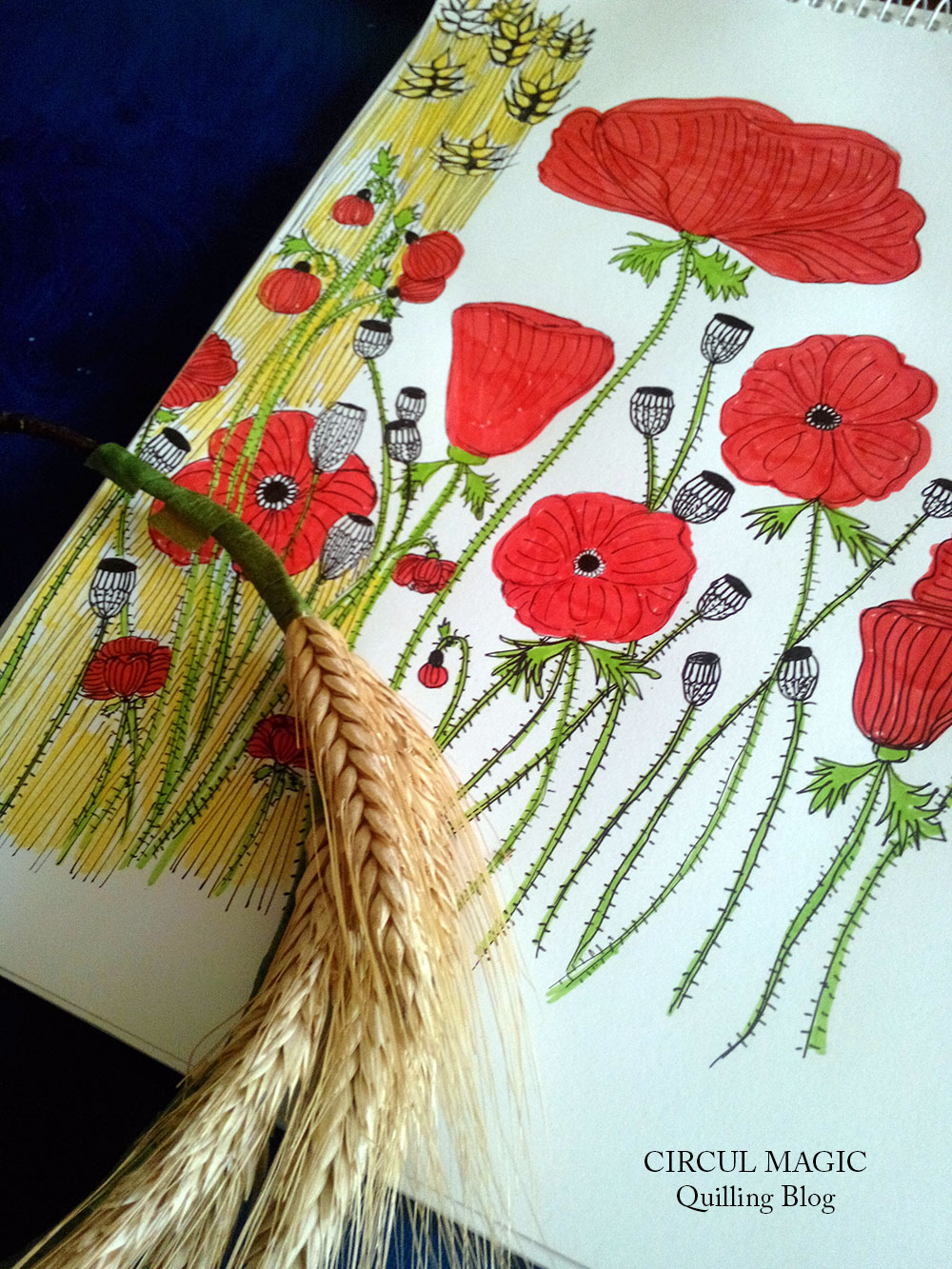 xiteen: Macii, muzele incepului de vara