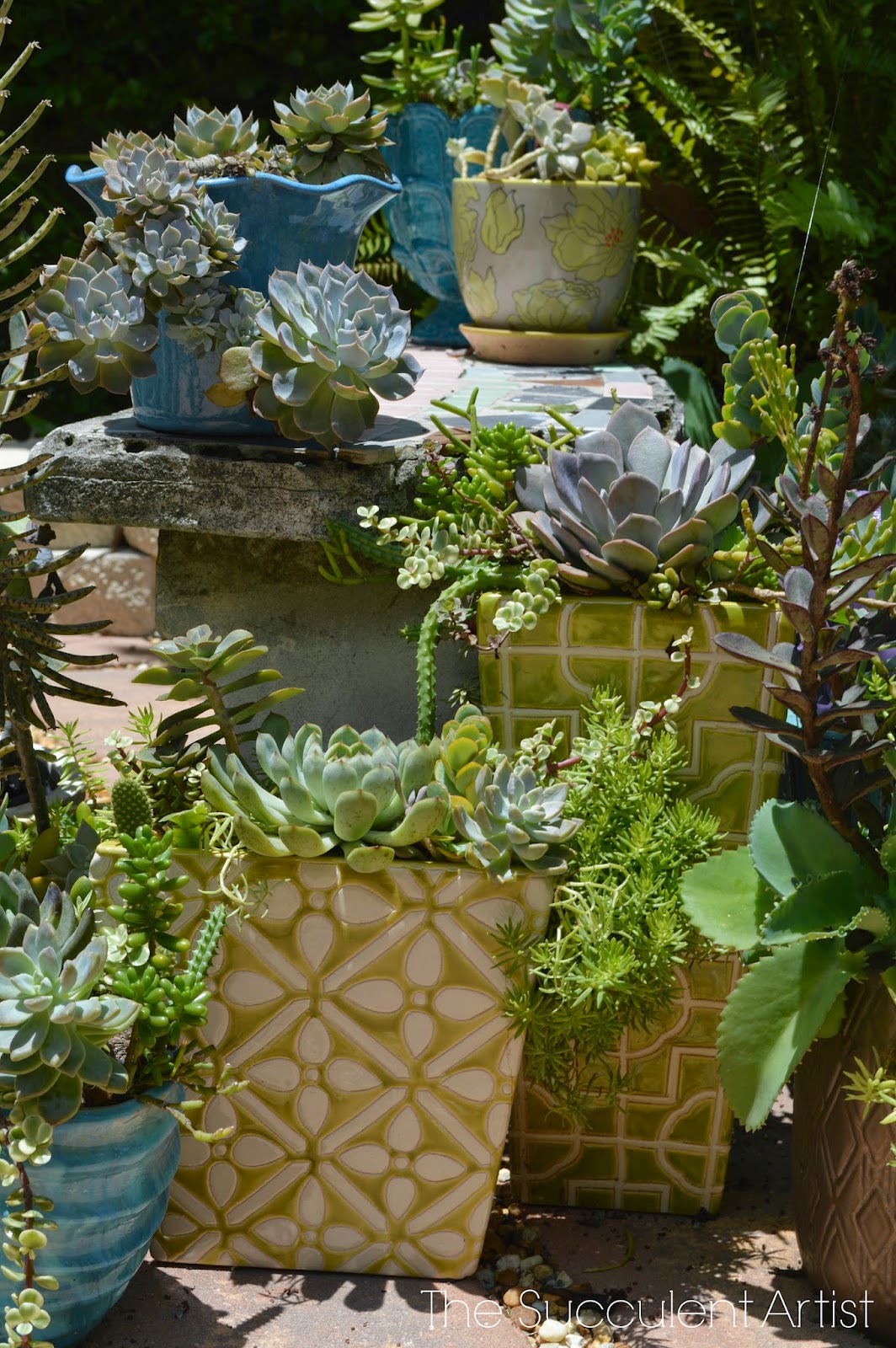Unique Succulent and Cacti Planters: Think Outside the Box