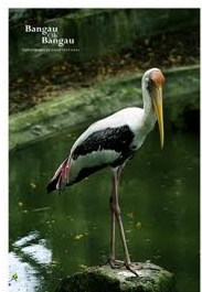 Ngurip-urip Basa Jawa: MANUK CANGAK