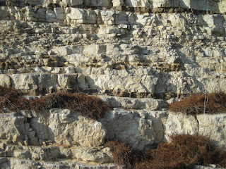 LA MIA PREISTORIA: LE MINIERE DI SELCE DEL GARGANO