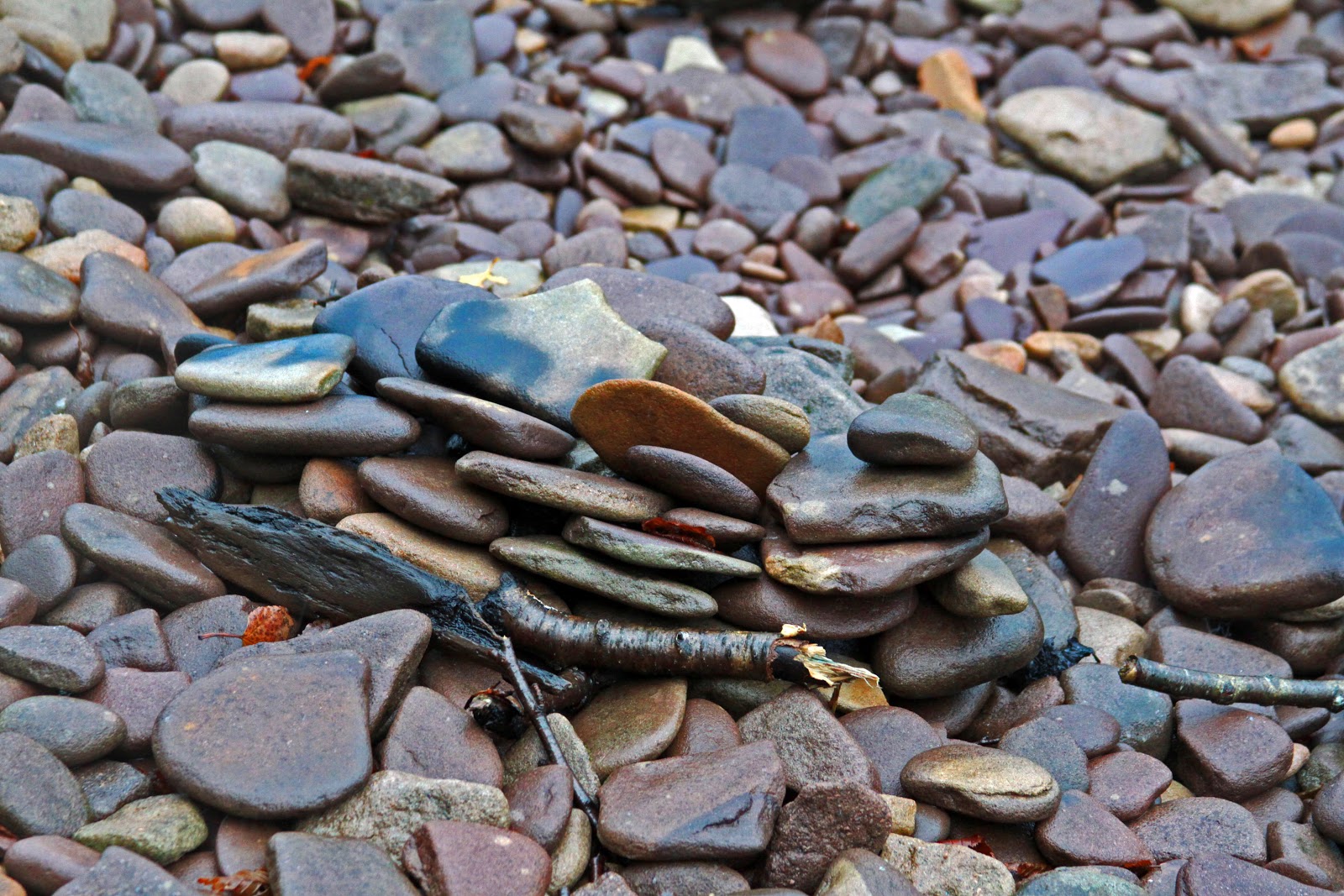 The Retirement Chronicles: This and That from the Lake and Woods