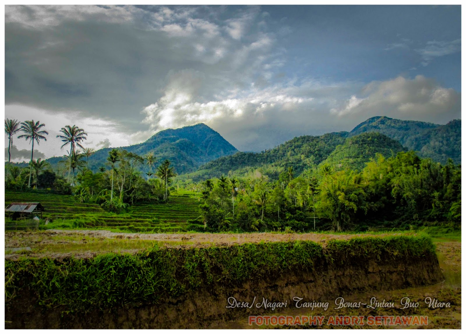 Raja_Lebah: Ekspedisi / Tadabbur Alam Dearly Lintau Buo Utara