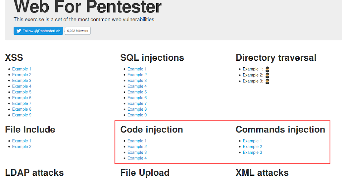[Pentesterlab write-up] Web For Pentester I - Code & Commands Injection