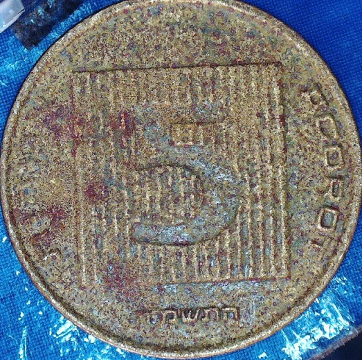 The Treasure Beaches Report Direct From Florida's Treasure Coast.: 11 ...