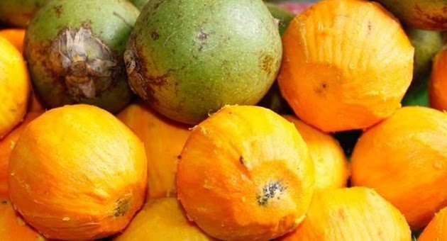 Frutas Saúde Energia Prazer