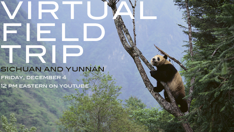 E is for Explore!: Virtual Field Trip