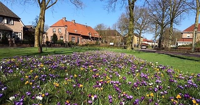 Dorpen en Steden van Nederland: Nuland (Noord-Brabant)