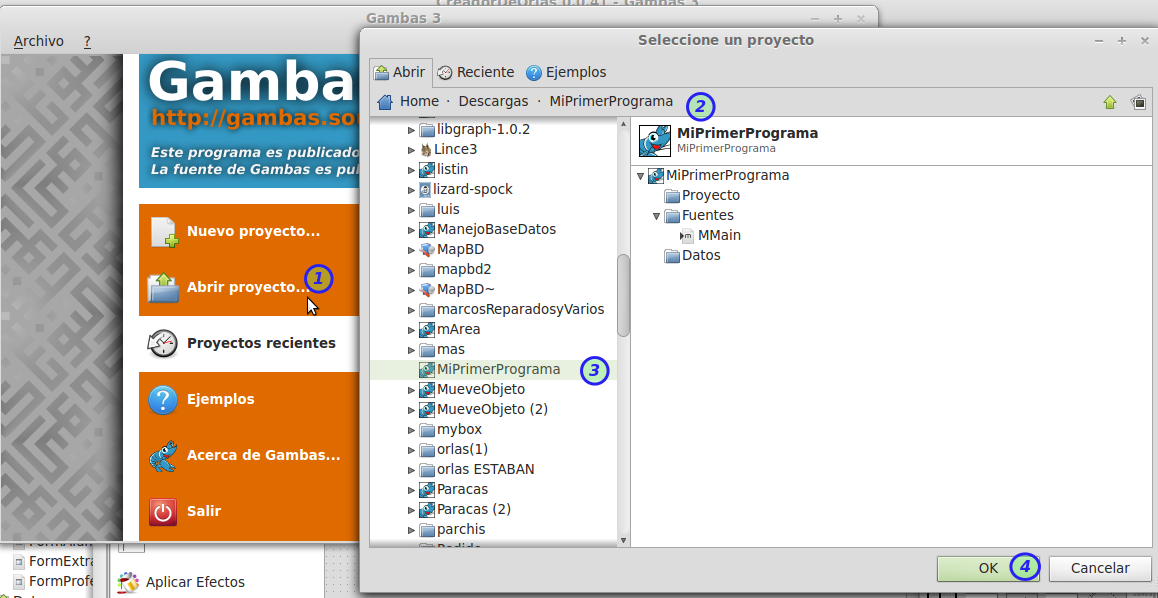 Curso de Gambas: Nuestro Primer Programa en Gambas en Modo Consola