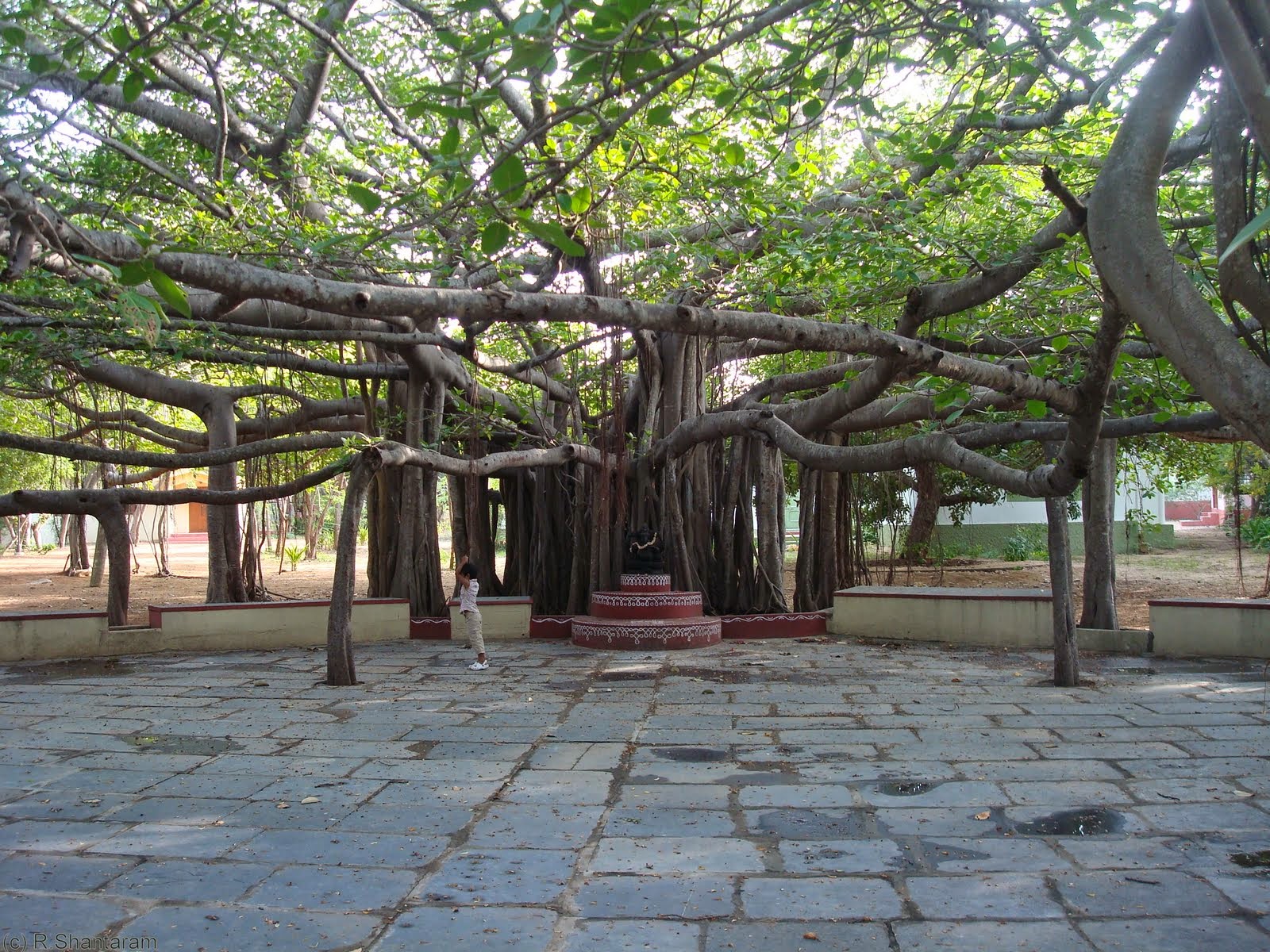 Chennai Daily Photo: July 2014