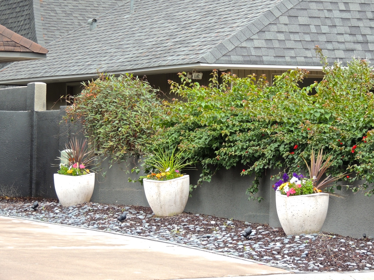 Phoenix Daily Photo: Decorating with Potted Plants