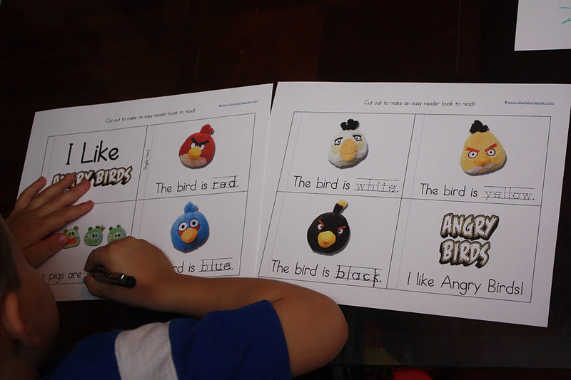 Holbrook Heroes: Angry Birds Homeschool!