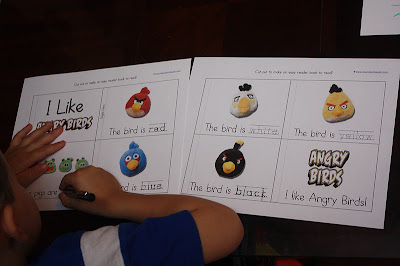 Holbrook Heroes: Angry Birds Homeschool!