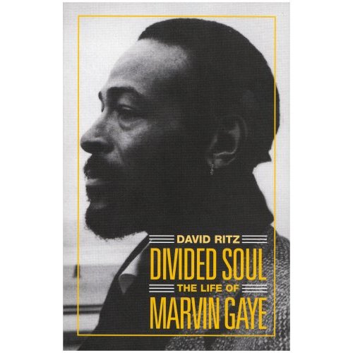 mosaic:made of soul art integrity combined: Marvin Gaye 'Divided Soul ...