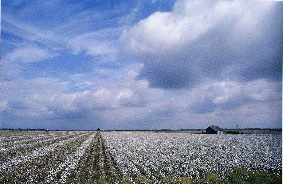 Los Grandes Fotografos: William Albert Allard (1937)