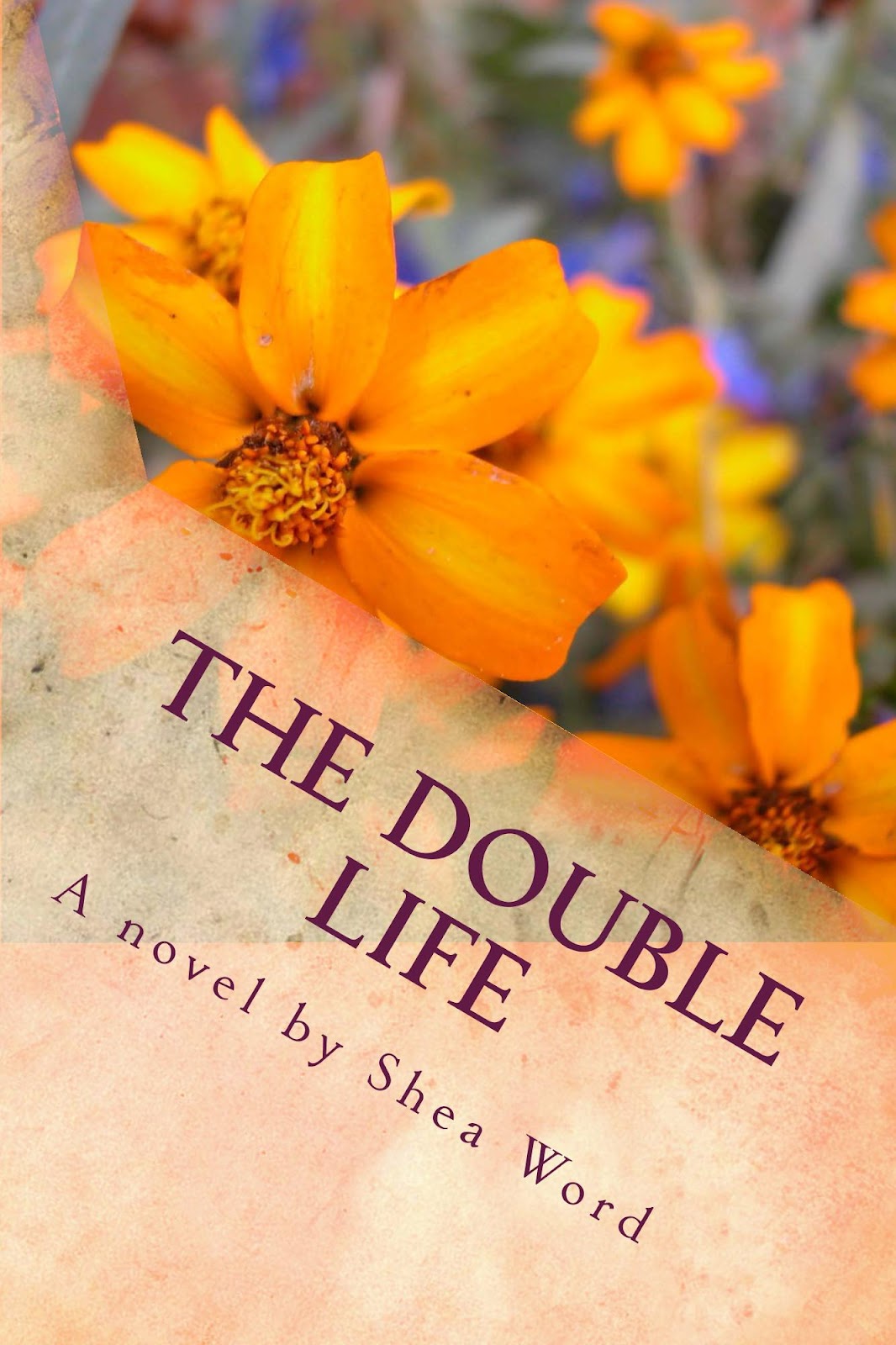 D Book Challenge Year 2: 29. The Double Life by Shea Word