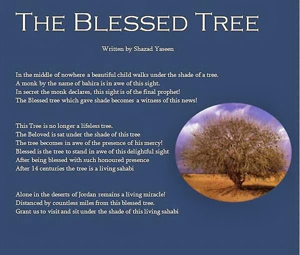 Bright Light: The Blessed Tree (Only Living Sahabi)