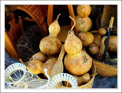 Cultura Guaraní: El porongo, calabaza de peregrino, guaje, bule o ...