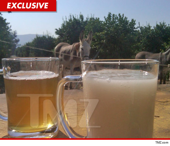 tinabloggy: January 2012