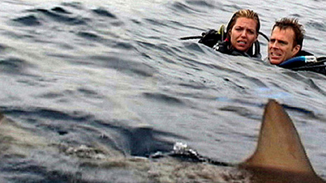 1001plus: Wednesday Horror: Open Water