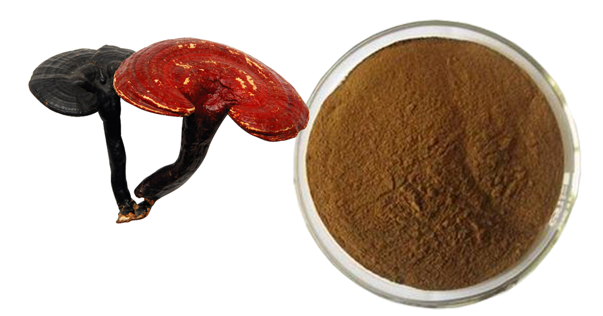 Reishi - o ciuperca speciala ~ Totul despre sanatate si frumusete