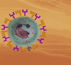 Crea y aprende con Laura: Immune Defense. Un juego en el que dirigirás ...