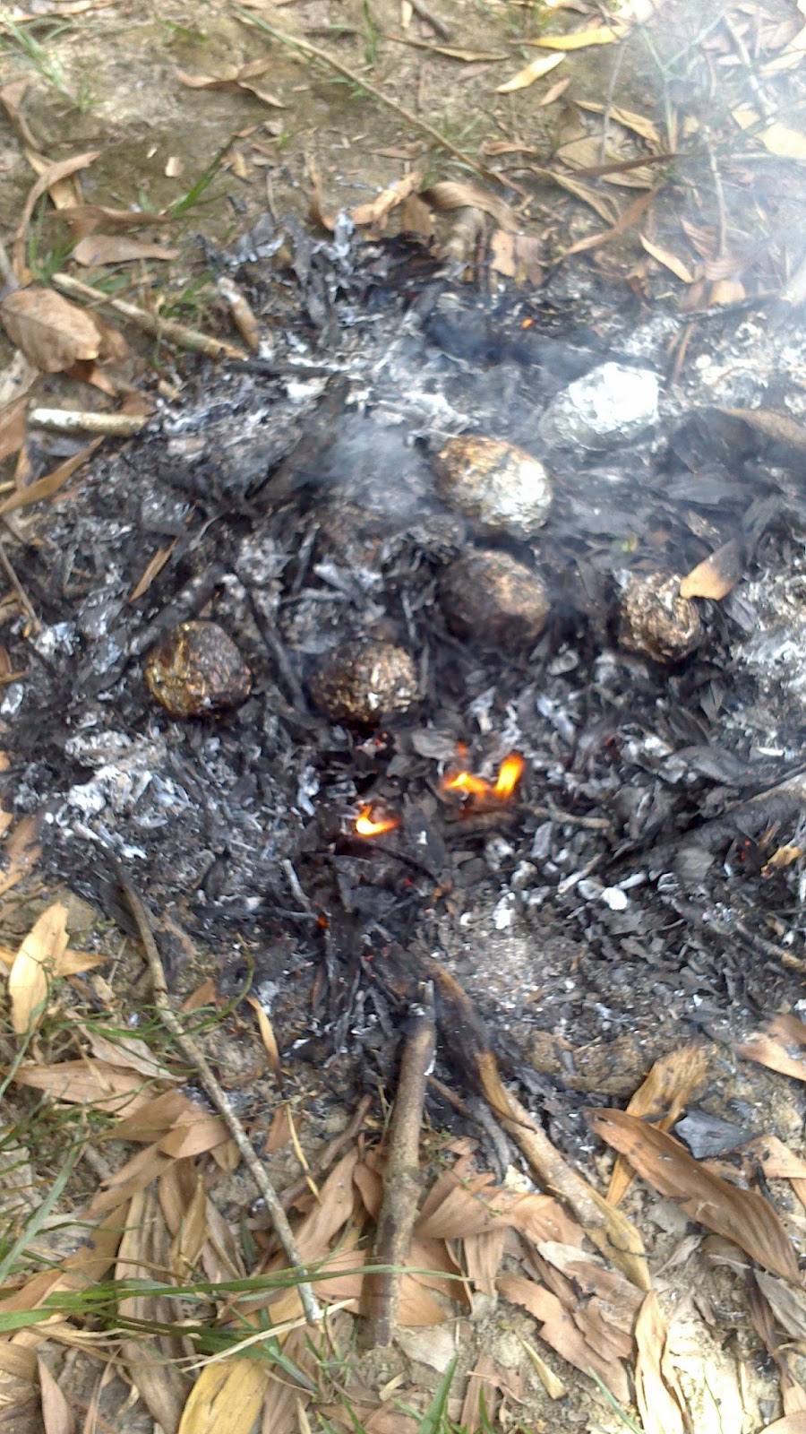 sEnGaLiCiOuS] :.: masakan rimba