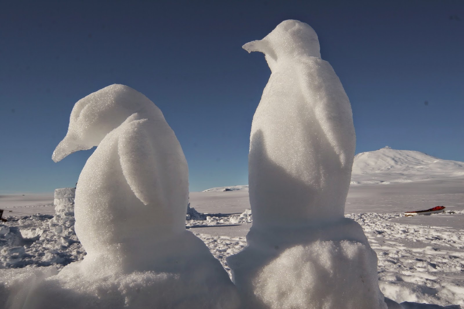 Plants and Ice: My story of Botanical Exploration: Over 26 different ...