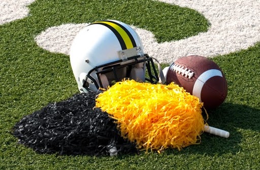 Peotone PTO: Peotone Football & Cheerleading