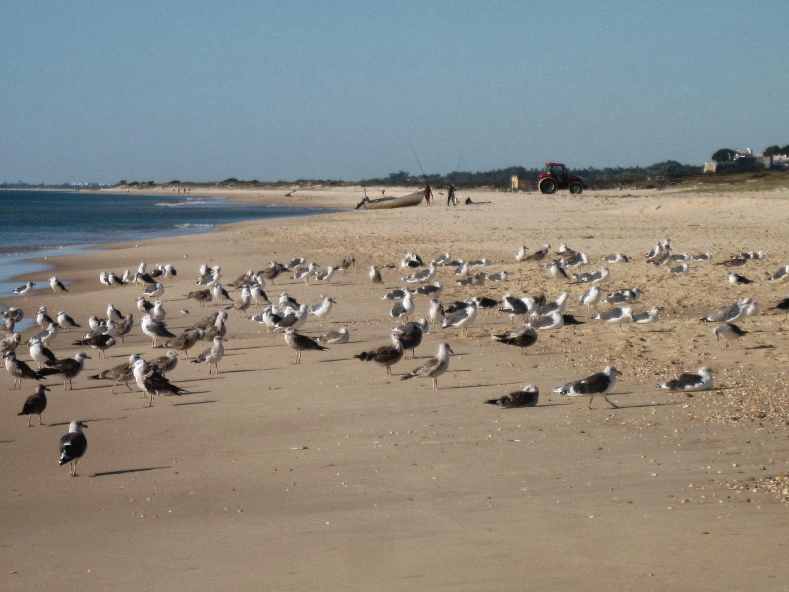 KuMaNi on Tour: Praia Alagoa - Altura