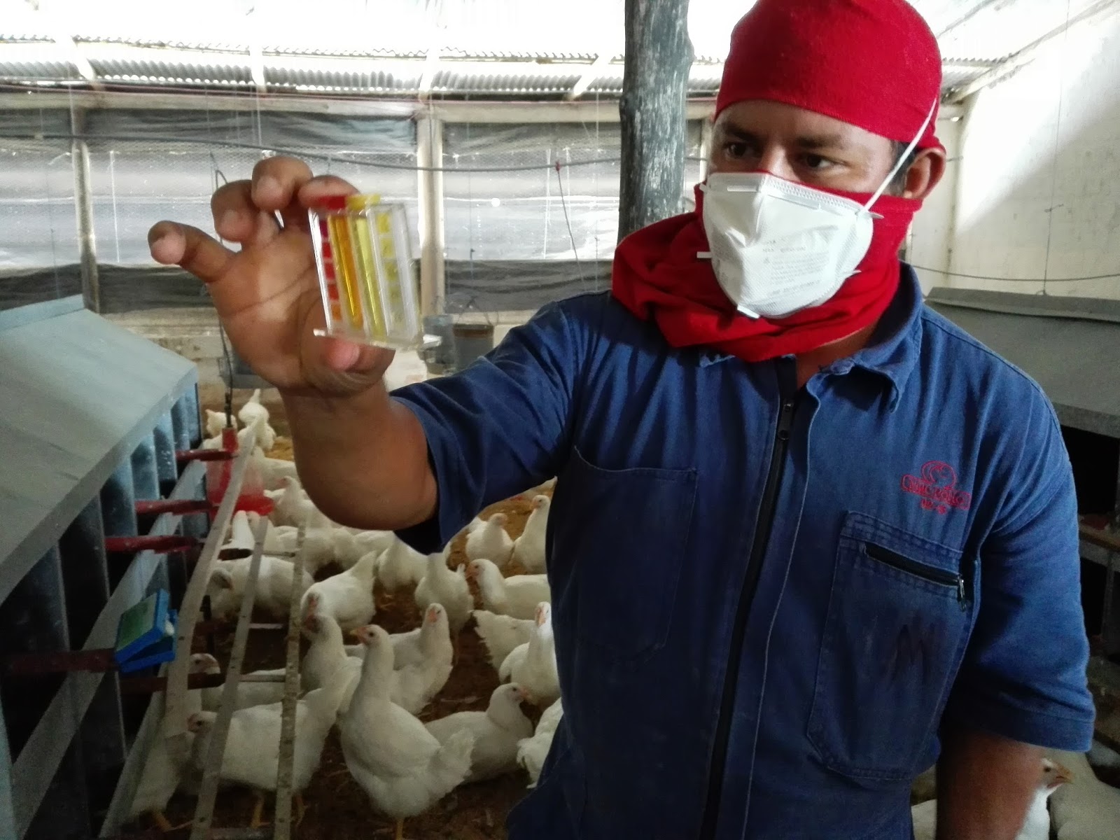 C: Proceso Avidesa Macpollo 2016