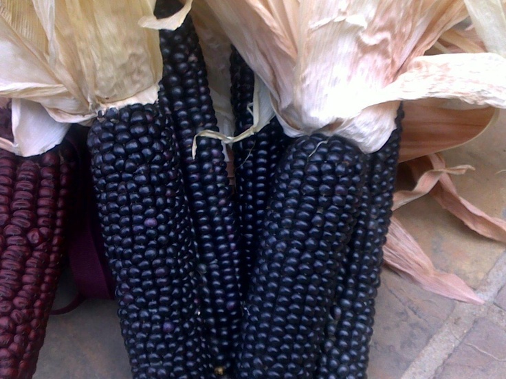 CornHub: Big Black Corn