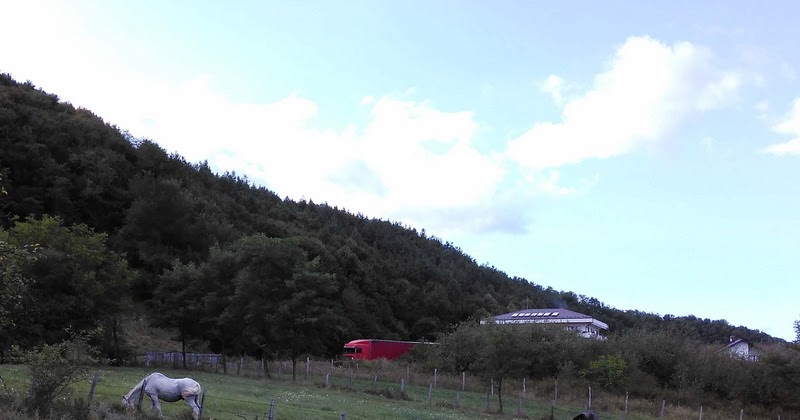 Blogul Simonei: Un cal alb şi unul mai încolo