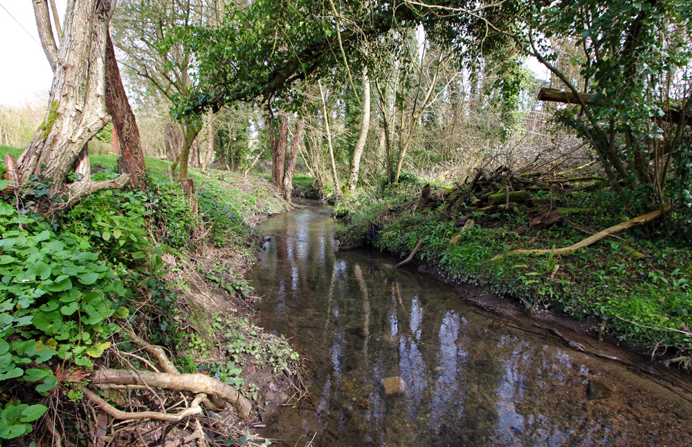 River Bourne, Basted, Kent 3rd April 2016