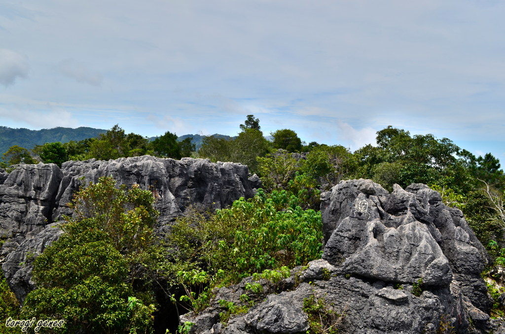 Lone Prowler: Mt. Kalugong