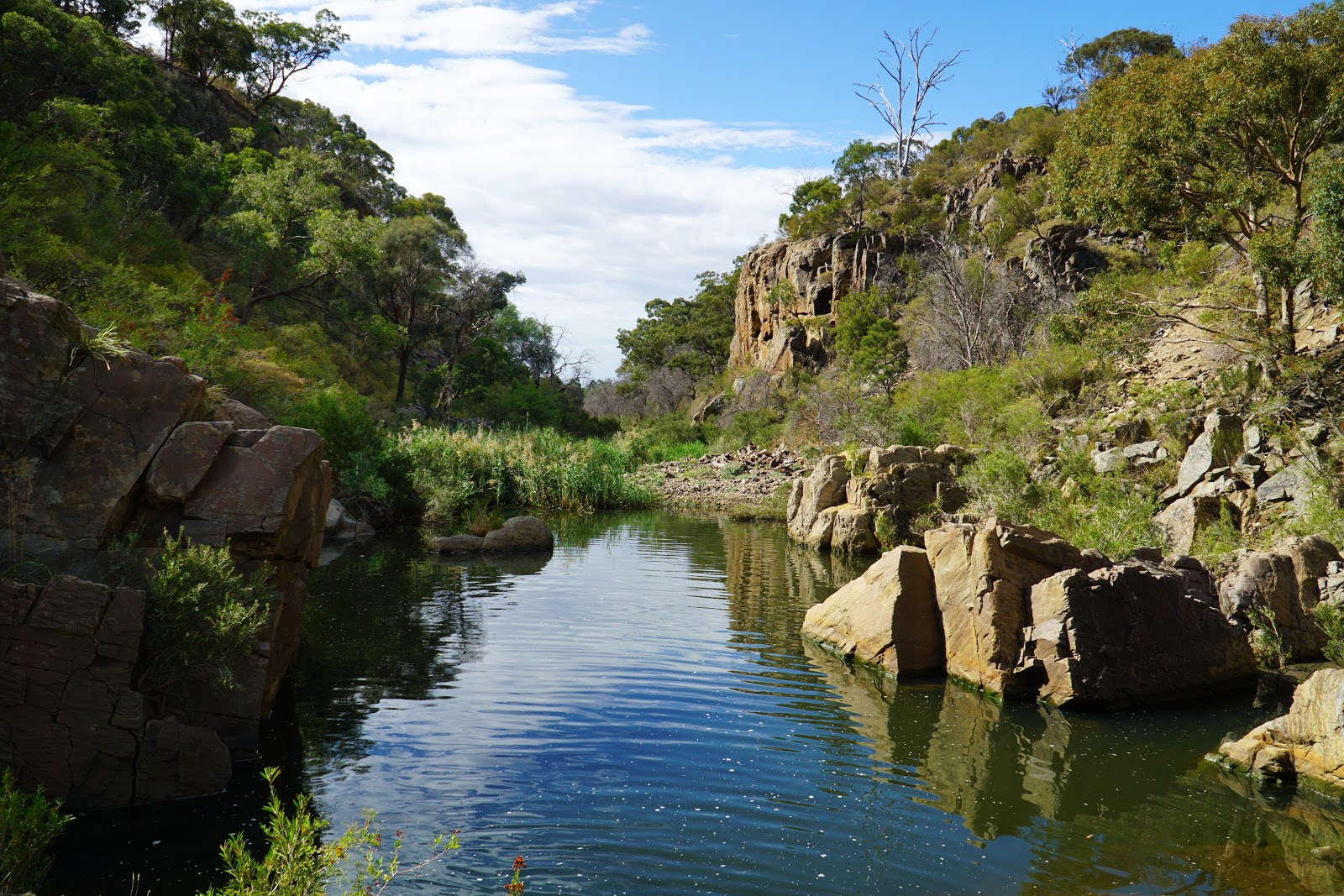 Werribee Gorge Circuit Walk (Werribee Gorge State Park) ~ The Long Way ...