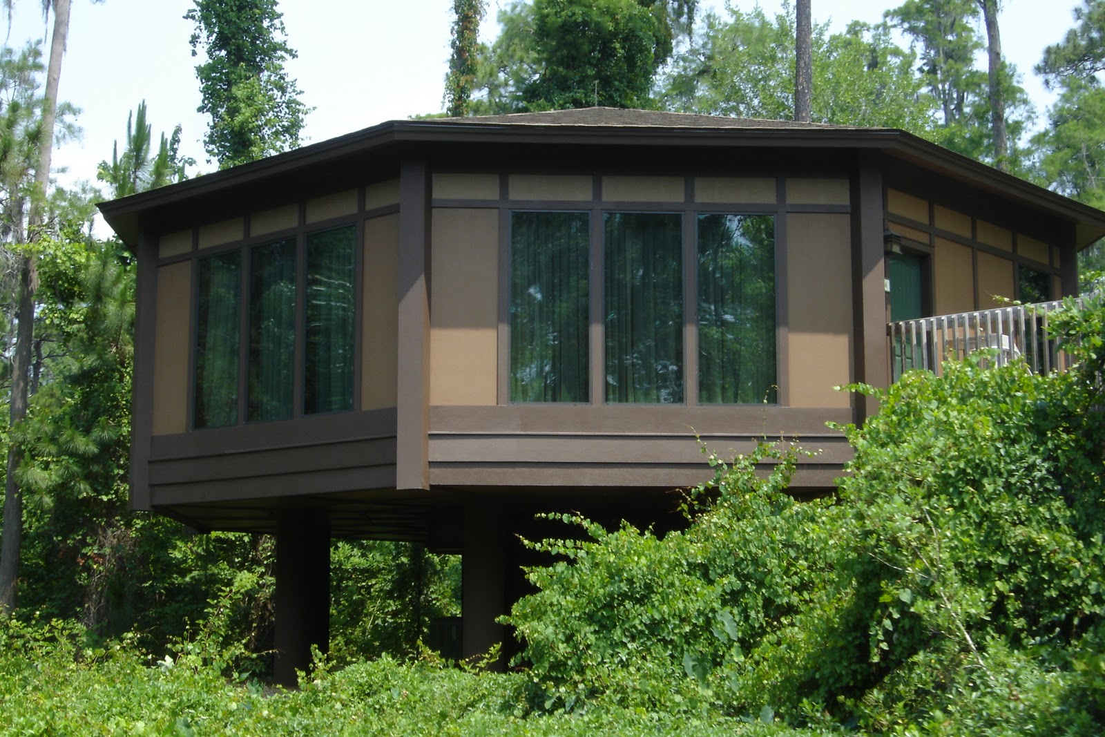 Disney Vacation Kingdom: Treehouse Villas