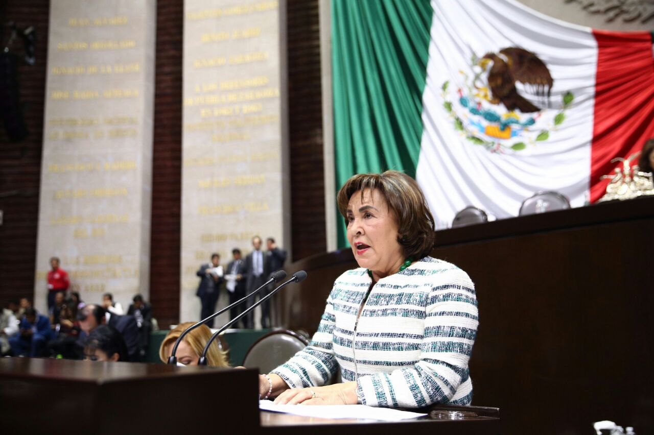 COATEPEC Y LA REGION: PROPONE DIPUTADA NOEMÍ GUZMÁN REFORMAR LA LEY DE ...