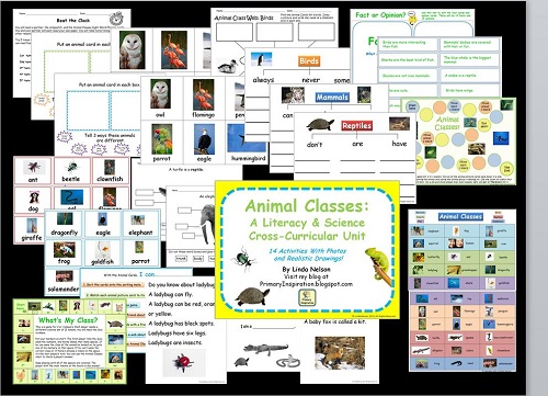 Primary Inspiration: Free Animal Classes Reference Chart