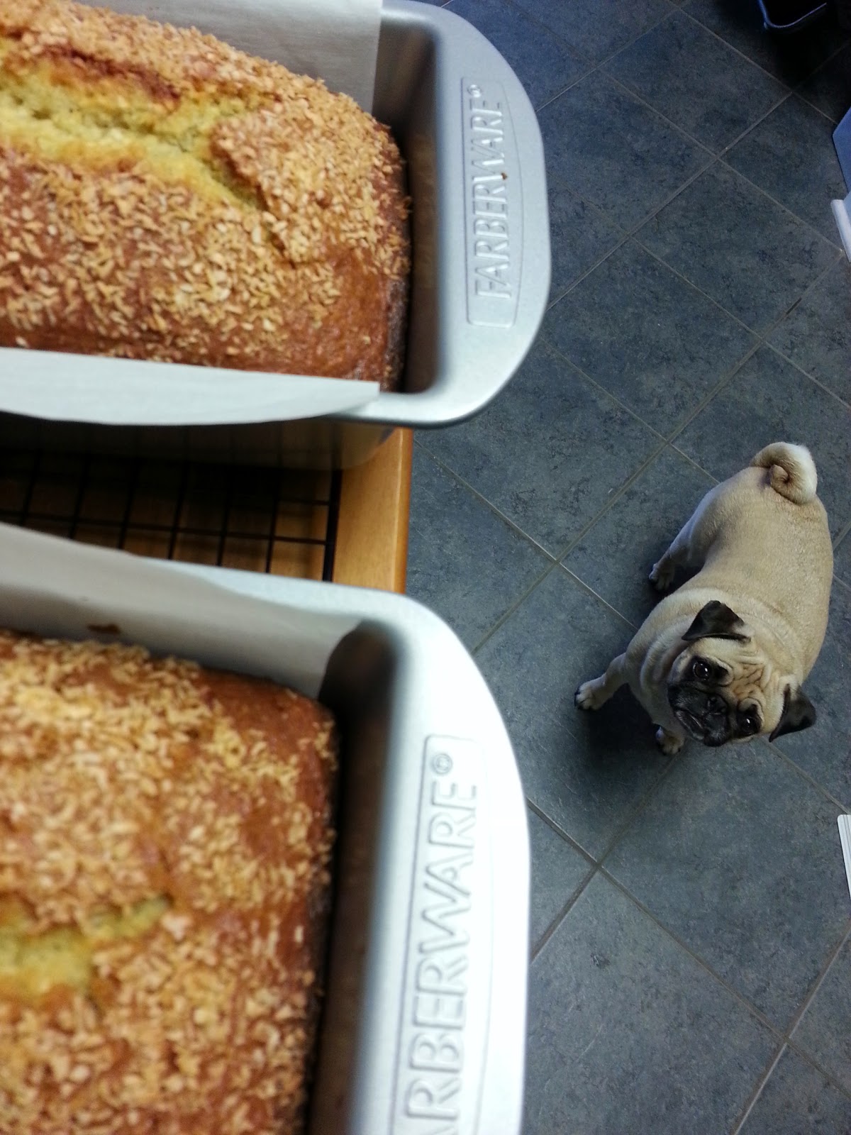 Grubbin' Pugs: Coconut Banana Bread