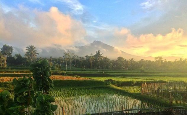 Tetebatu Walking Tour