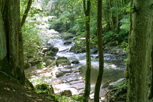 Kruidwis: Belvaux en omgeving