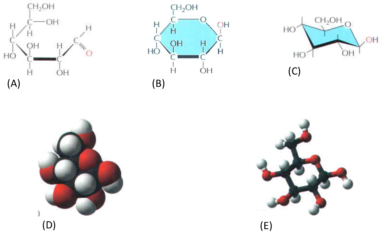 Biomoléculas: Monossacarídeos