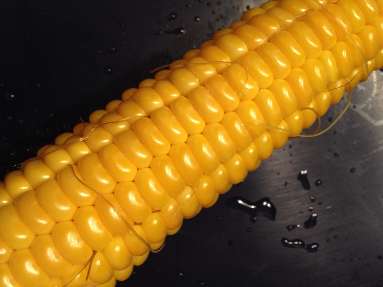 Observations on the New Vegetable Garden