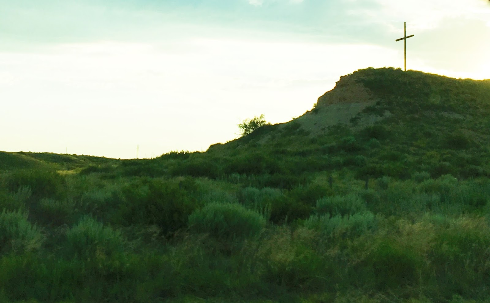 Rowan's Story: "God's Masterpiece"