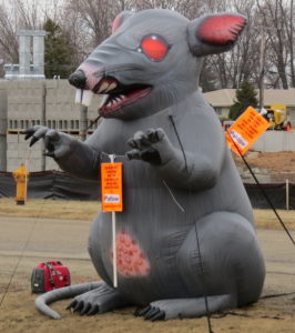 ProfLERoy: Are Rats Permitted as Symbolic Protests on Public Property?